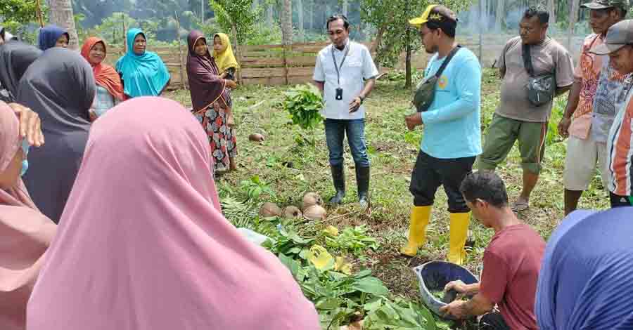 Kadistan Halteng Sosialisasi dan Aplikasikan Pembuatan Pestisida Nabati ...